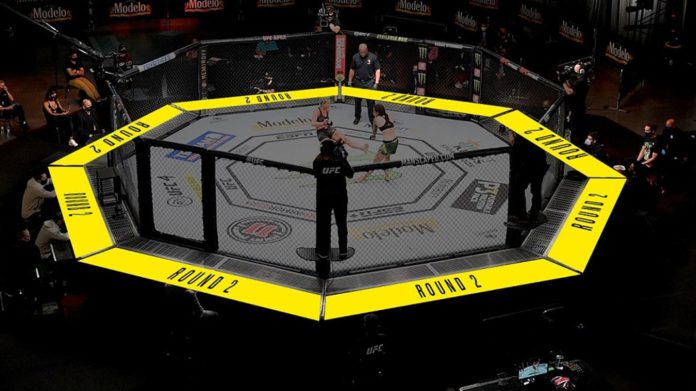 UFC: Neues LED-System verbessert Branding-Möglichkeiten | sportsbusiness.at